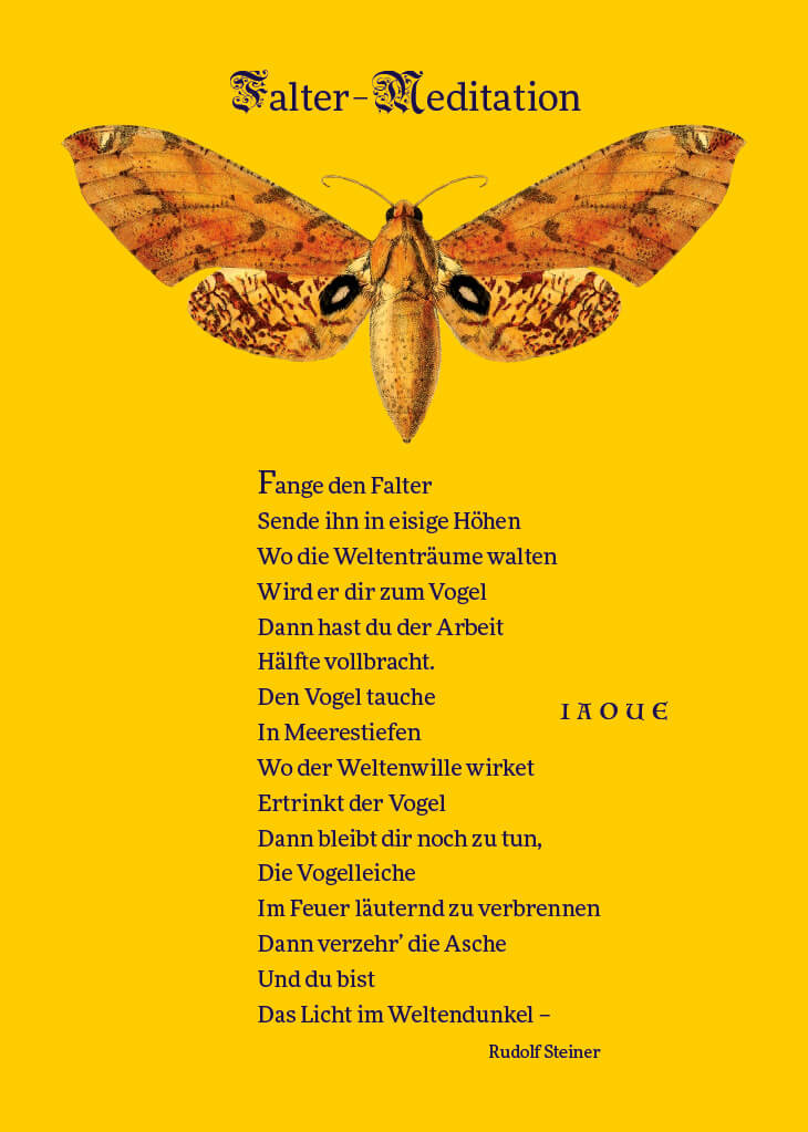 Veröffentlichungen | Institut für Sprachgestaltung